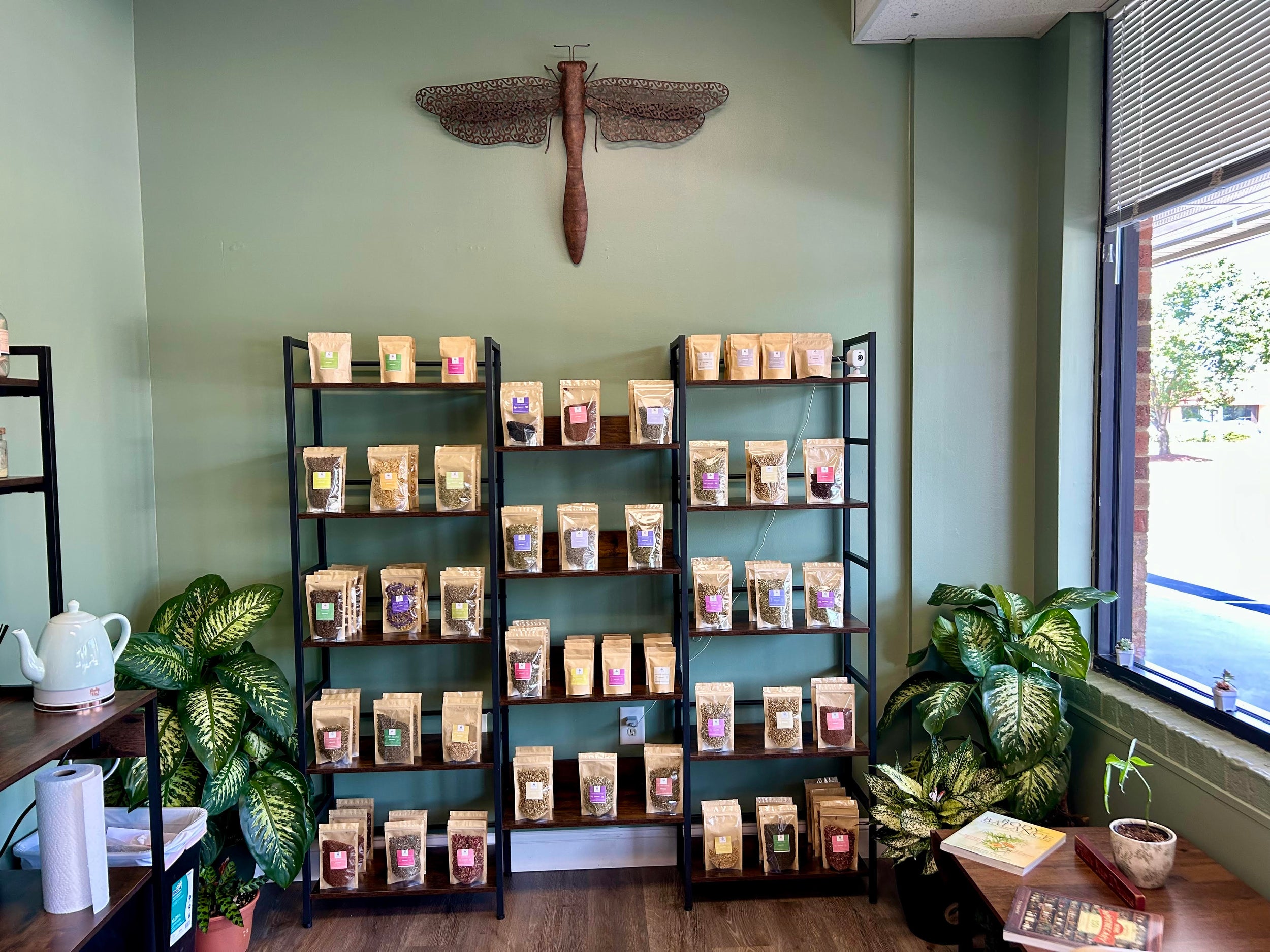 Dragonfly Elements – Dragonfly Elements